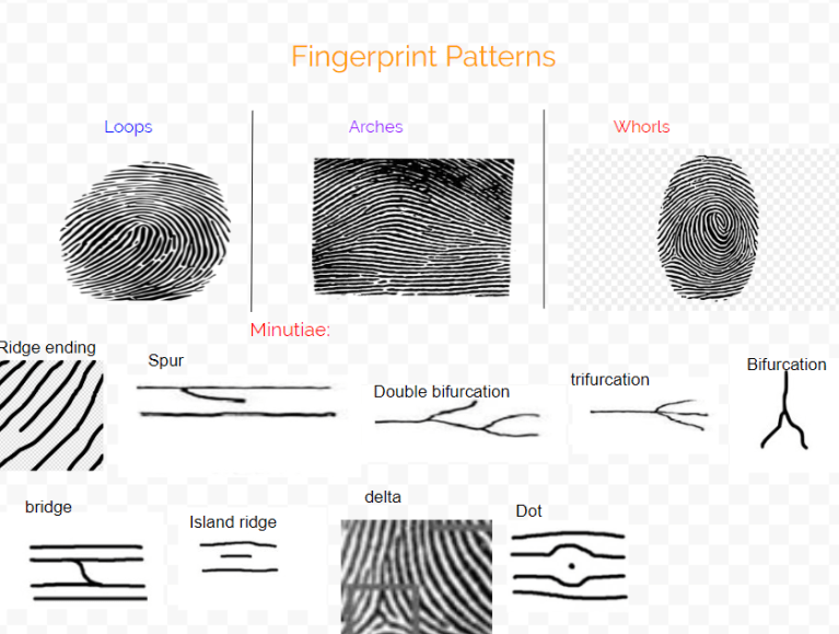 Inside India #25: The Indians who invented fingerprint classification ...